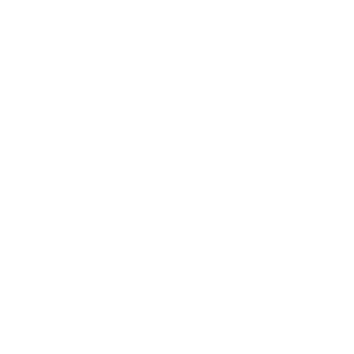 President International MUN 2025